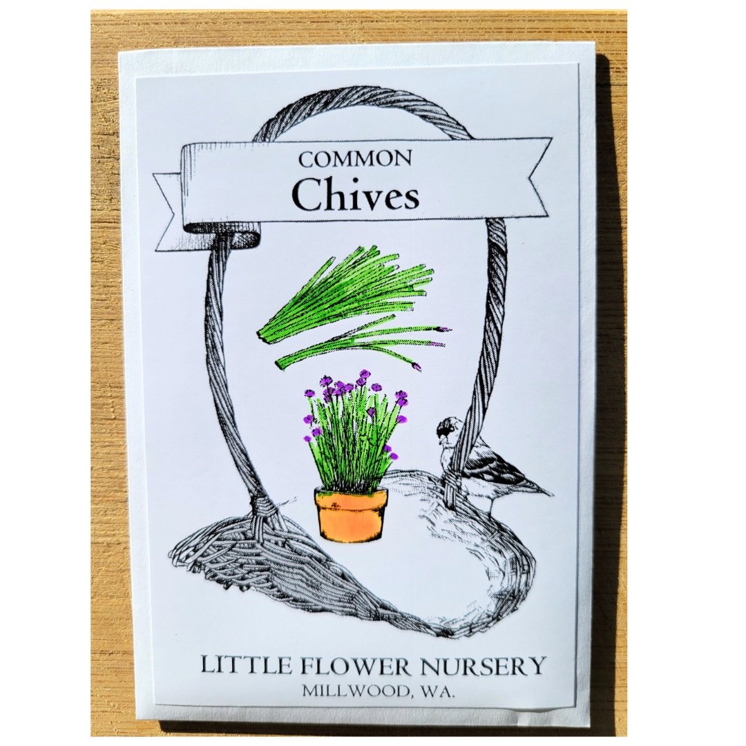 Seed Packet - Common Chives